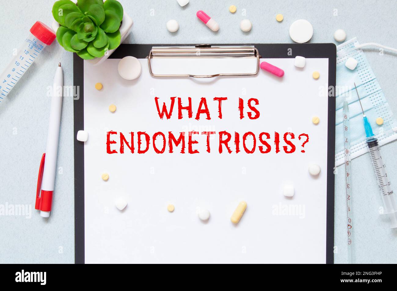 Bloc-notes avec la question de savoir ce qui est l'endométriose et le ...