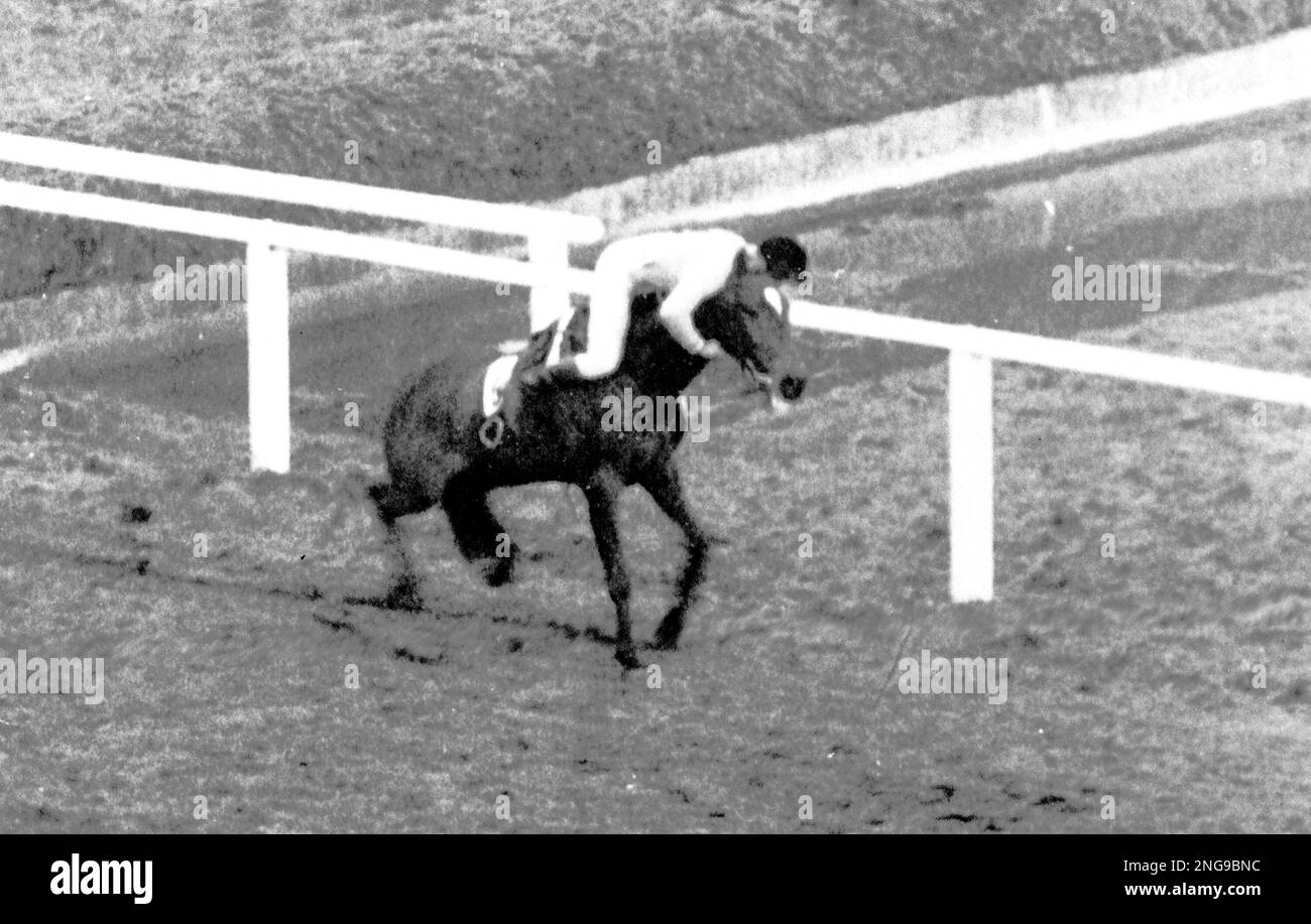 3rd of five ** FILE ** It was fifty-years ago when the Racehorse seen here Devon Loch, owned by ...