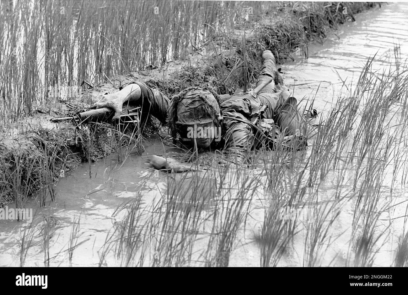 Pfc . Lacey Skinner of Birmingham, Ala., crawls alongside a rice paddy dike near An Thi, Vietnam ...