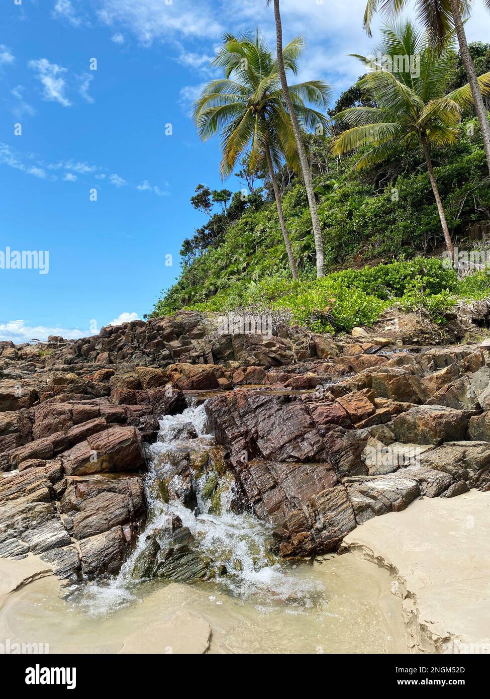 Une cascade d'eau cristalline, provenant de la forêt atlantique, s ...