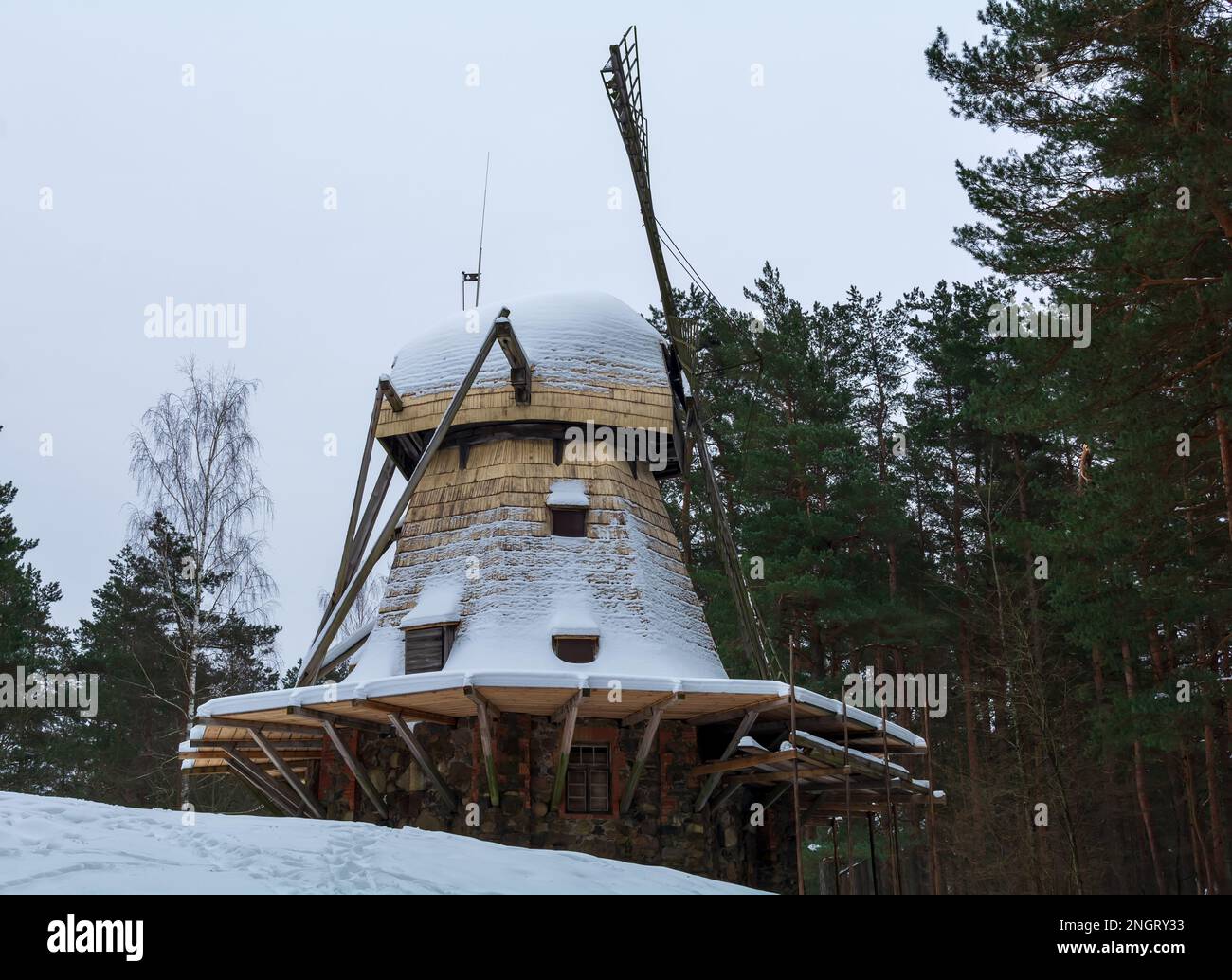 Moulin à vent hollandais derrière les pins.Le lieu d'origine de ...