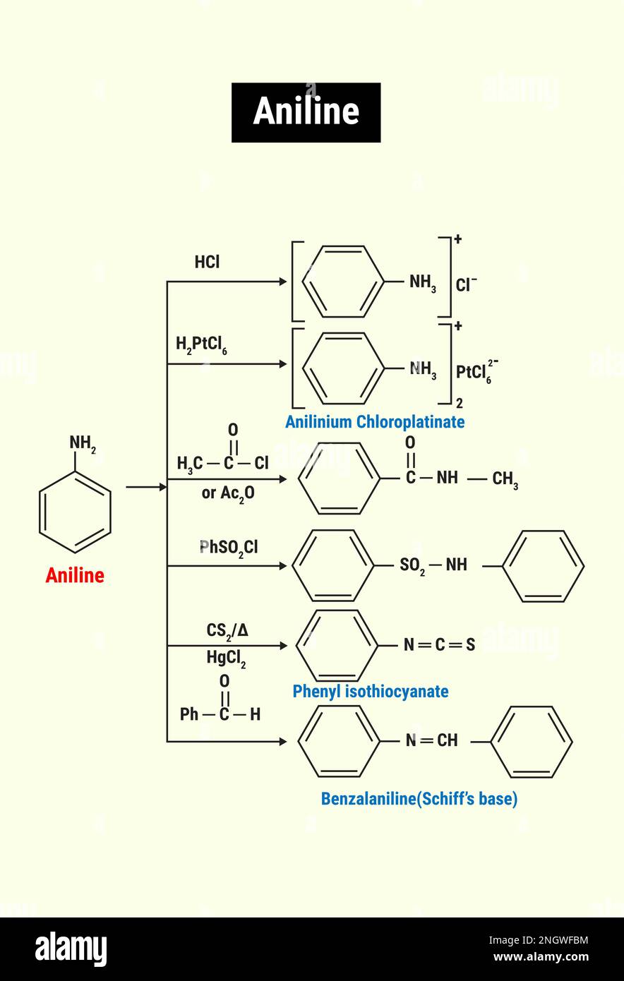 Thermoplastic structure Banque de photographies et d’images à haute ...
