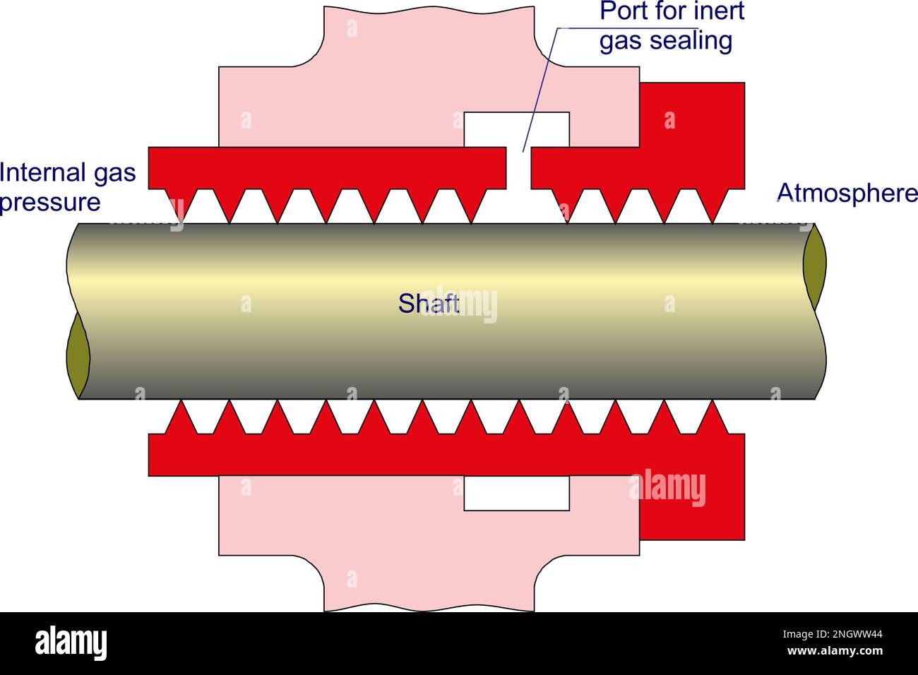 Arbre droit Banque d'images vectorielles - Alamy