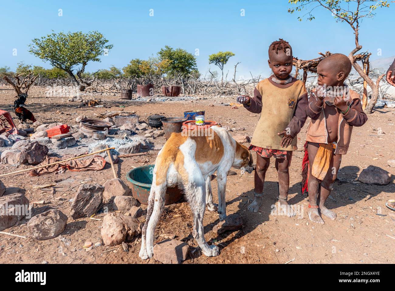Aboriginal race Banque de photographies et d’images à haute résolution ...