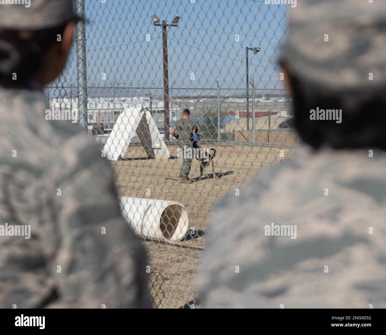 Les cadets du corps d’instruction des officiers de la Réserve junior de ...