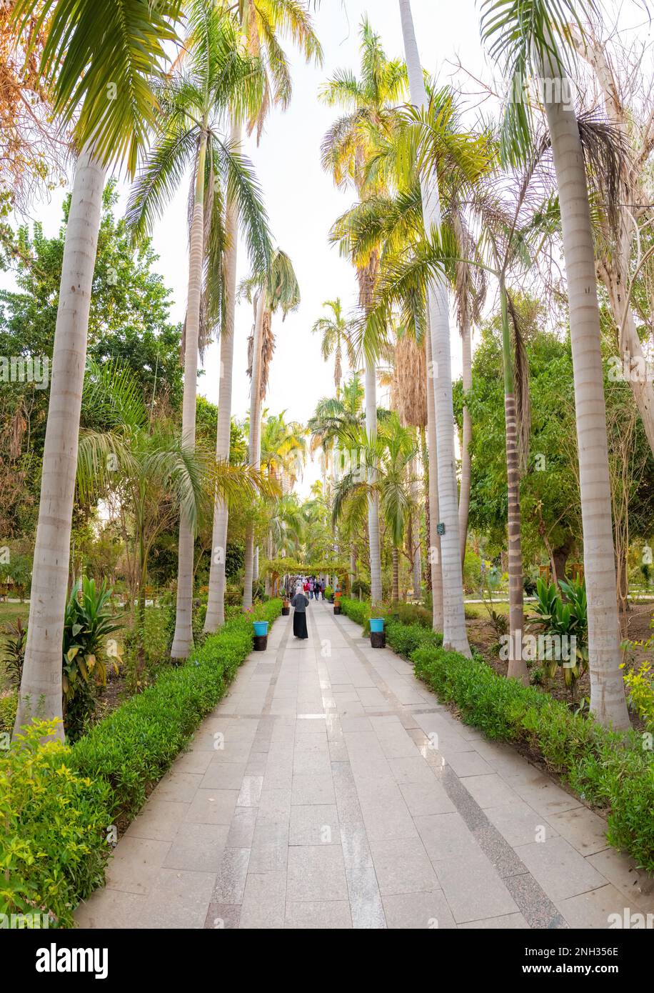 Assouan Égypte 19 Février 2023 Les Jardins Botaniques Dassouan Égypte Photo Stock Alamy