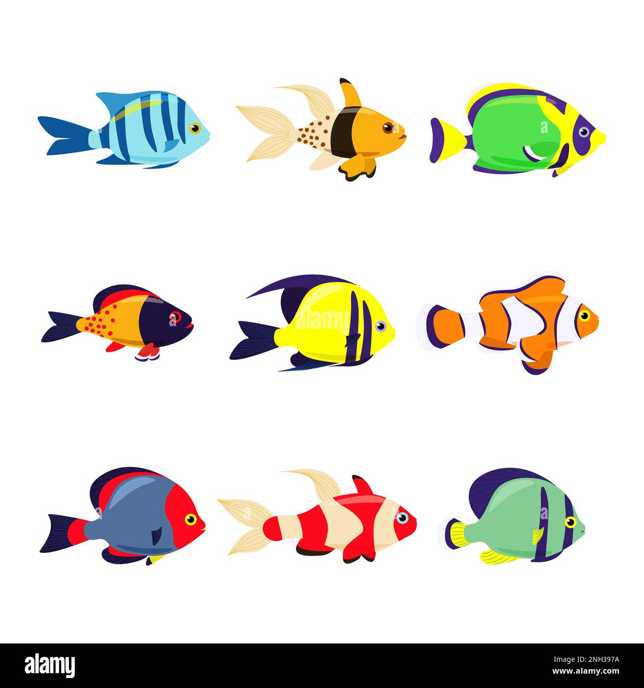 Ensemble de poissons exotiques marins sur fond blanc. Collection ...