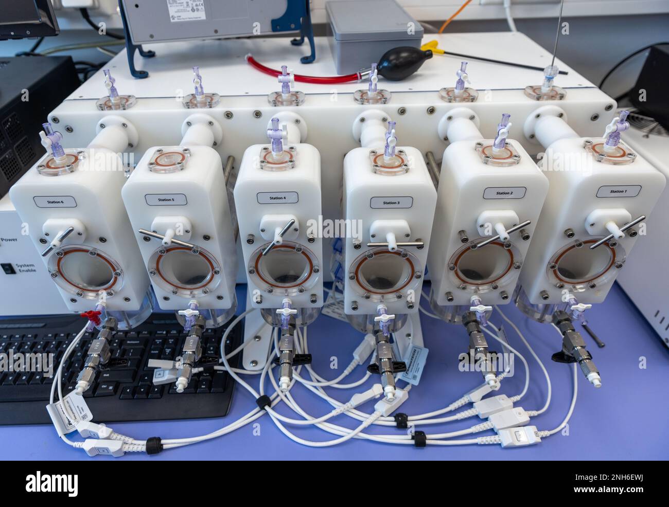 07 février 2023, Mecklembourg-Poméranie occidentale, Warnemünde: Un ...