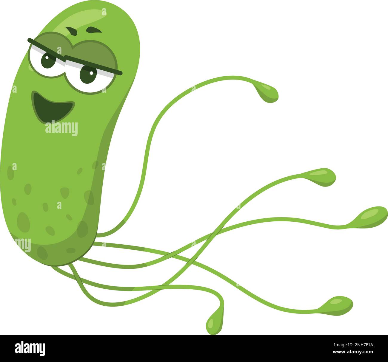 Illustration vectorielle d'une bactérie Helicobacter pylori dans un ...