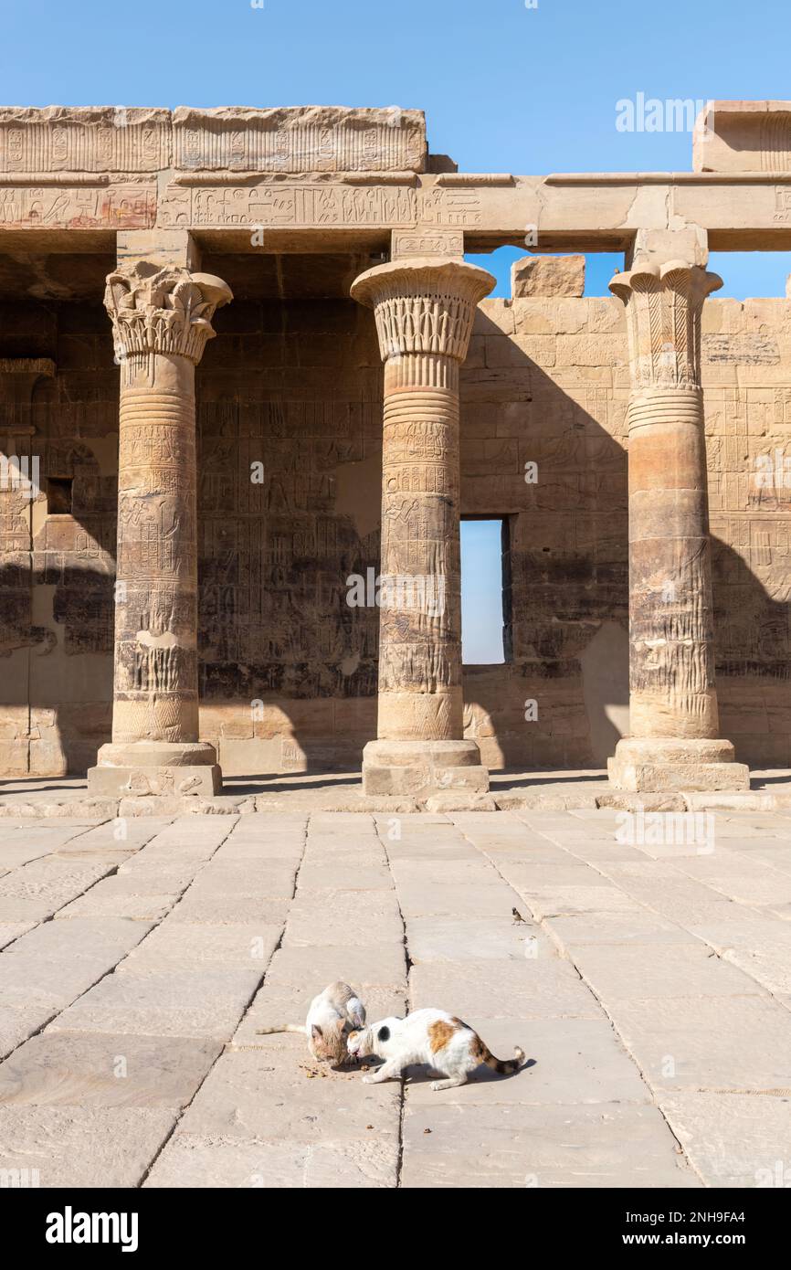 Assouan, Égypte; 14 février 2023 - Une rangée de colonnes au temple de ...