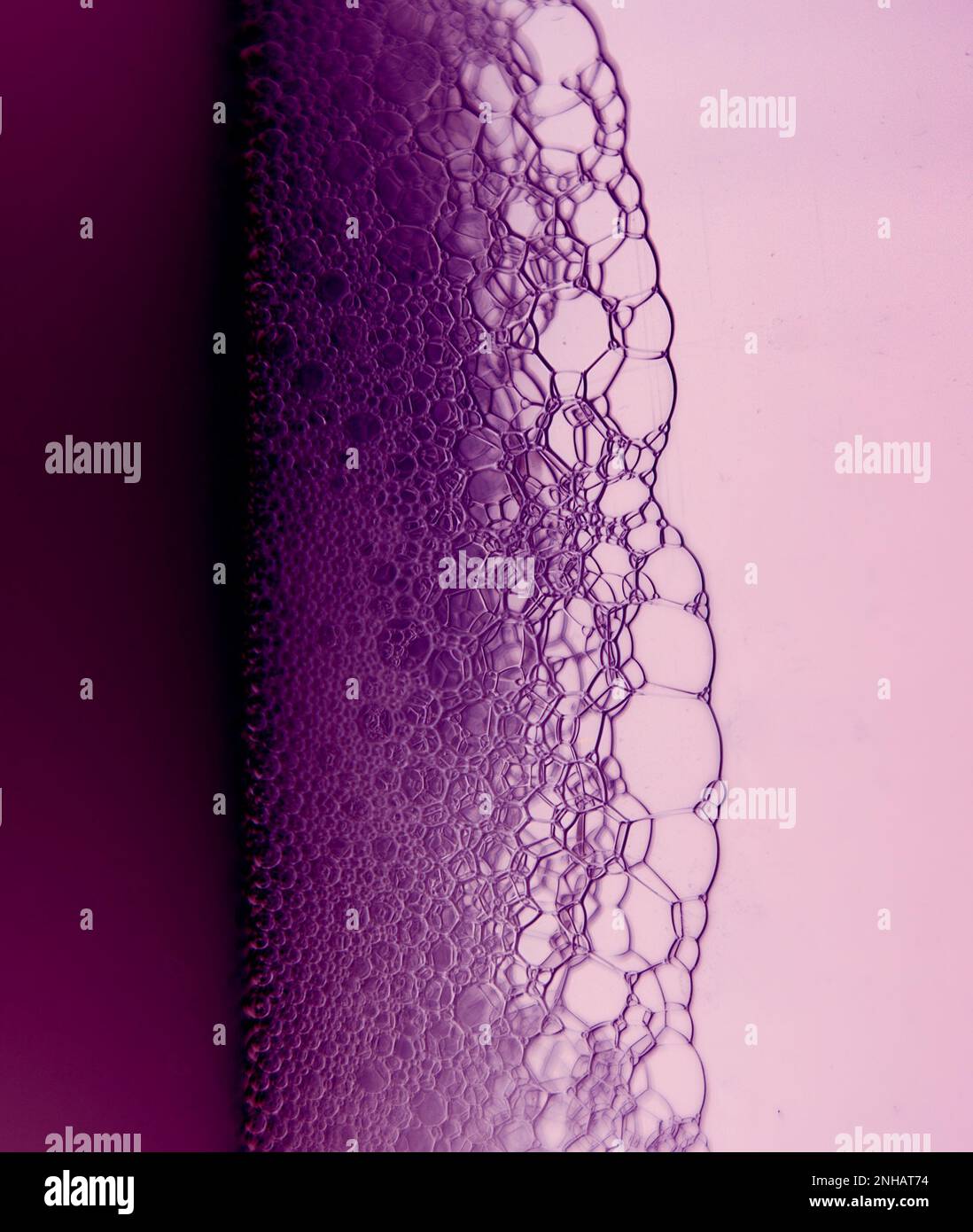 Rayons alpha Banque de photographies et d’images à haute résolution - Alamy