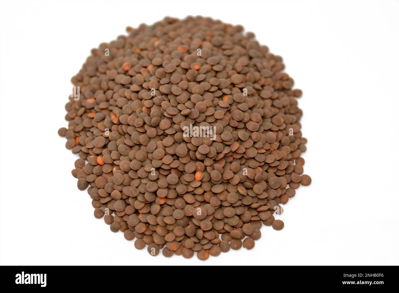 Lentilles brunes, lentilles (Lens culinaris ou Lens esculenta), une ...