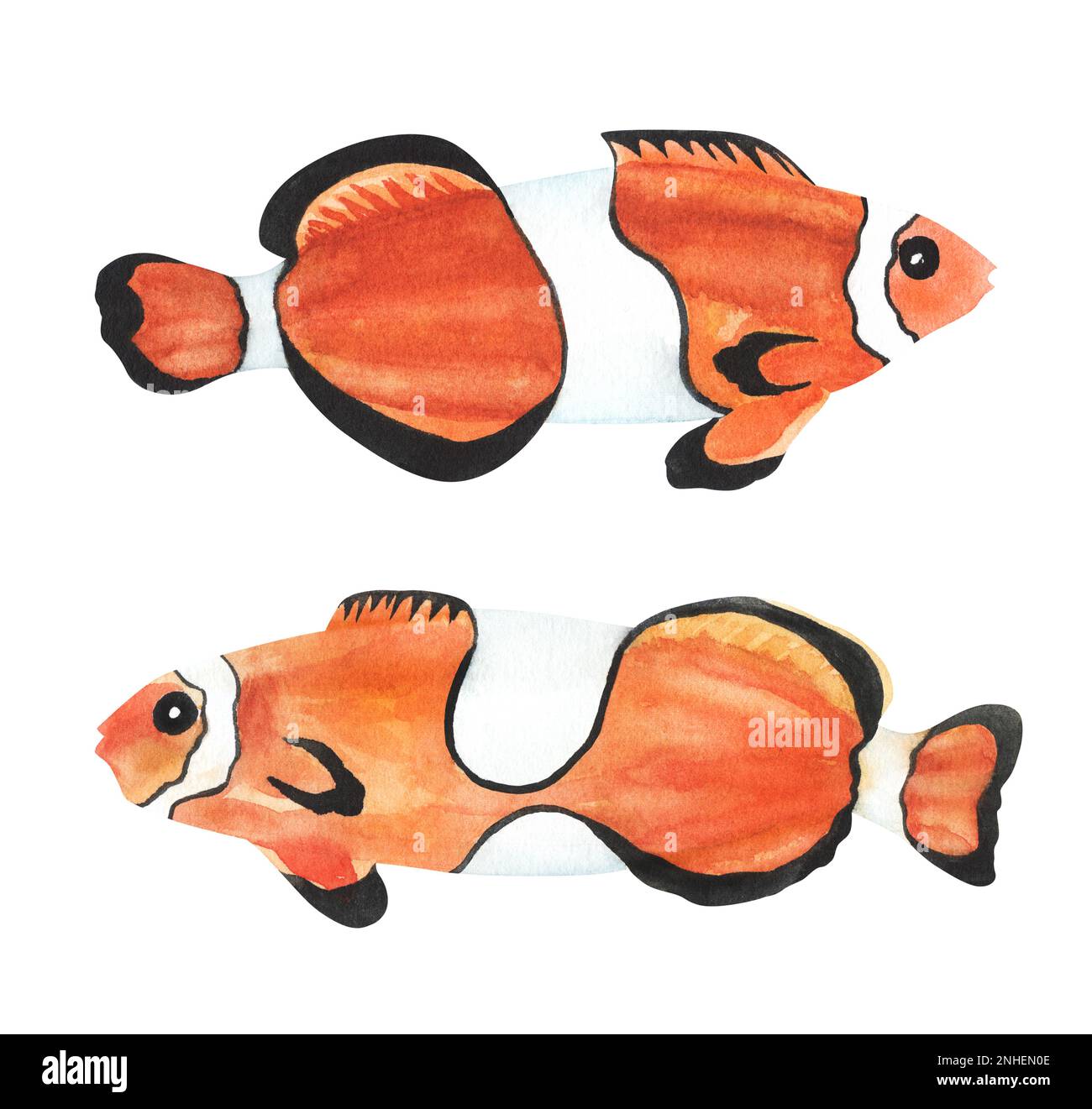 Poisson clown dessin Banque de photographies et d’images à haute ...