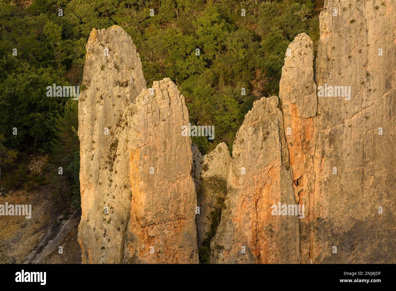 Muralla de finestres Banque de photographies et d’images à haute ...