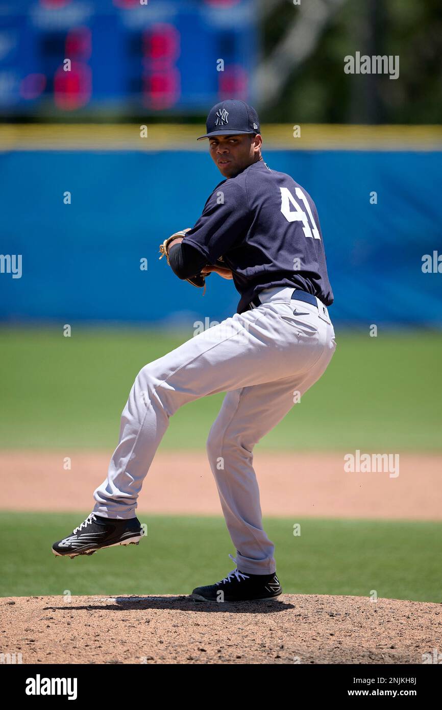 FCL Yankees pitcher Alfred Vega (41) during a Florida Complex League ...