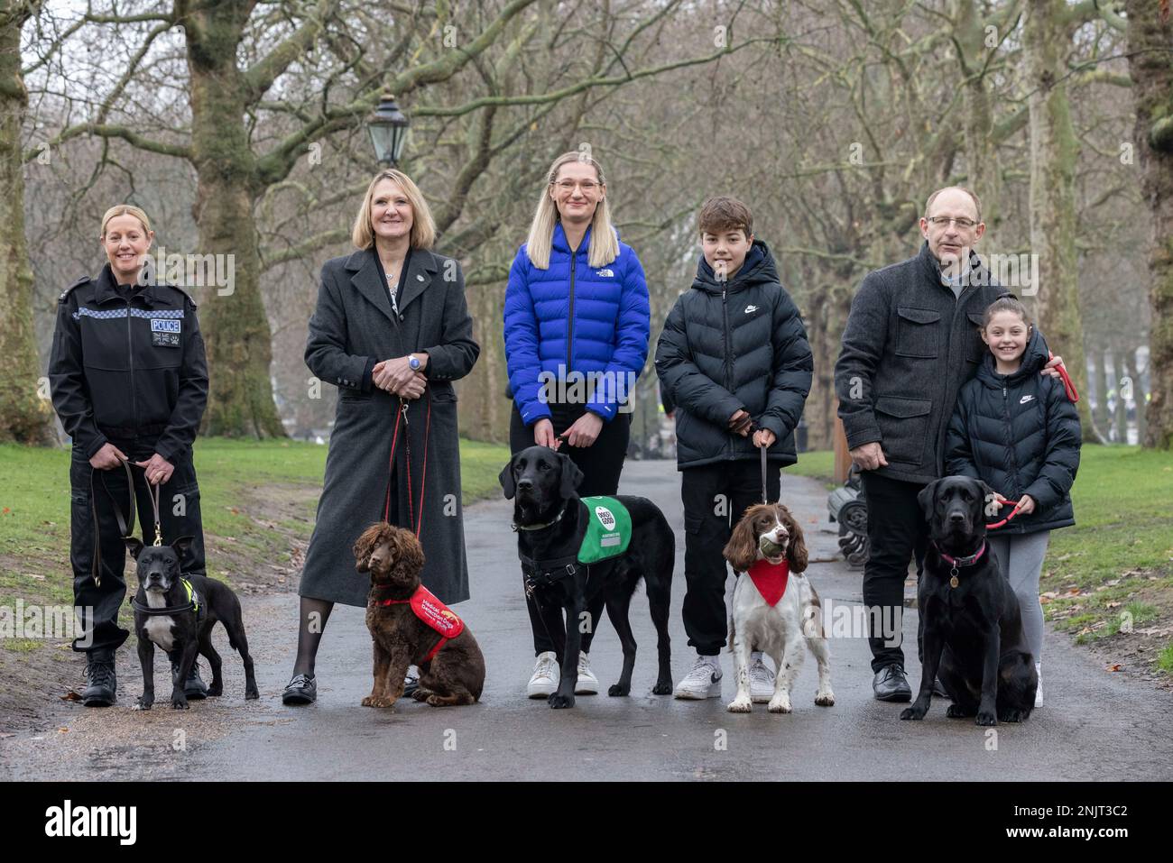 PHOTO:JEFF GILBERT 22nd février 2023 CINQ CHIENS QUI CHANGENT LA VIE ...