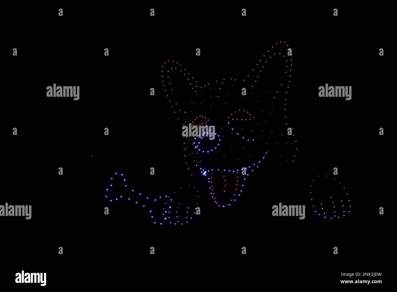 A drone light display forms the shape of a corgi during the Platinum ...