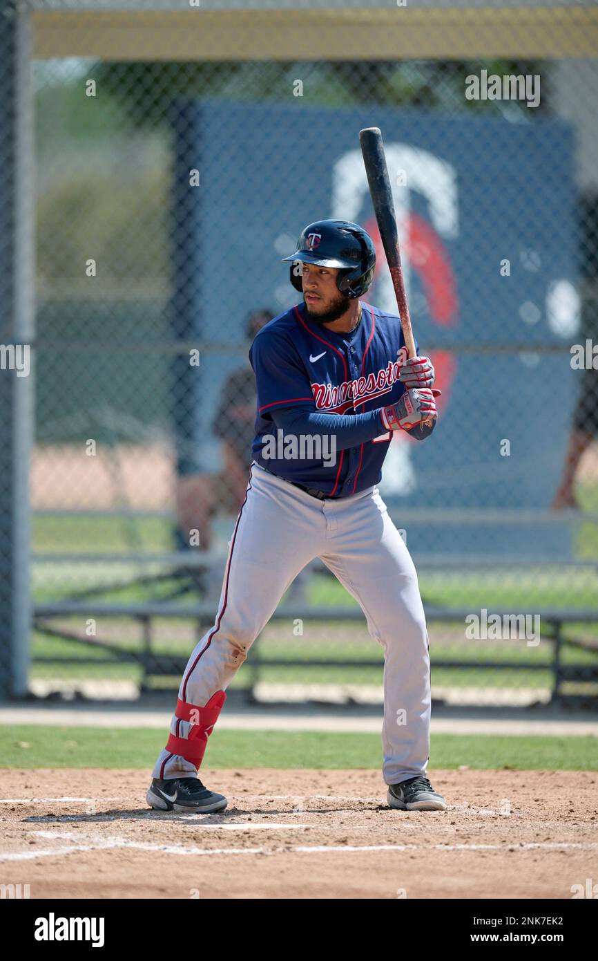Minnesota Twins Emmanuel Rodriguez (20) bats during a MiLB Spring ...