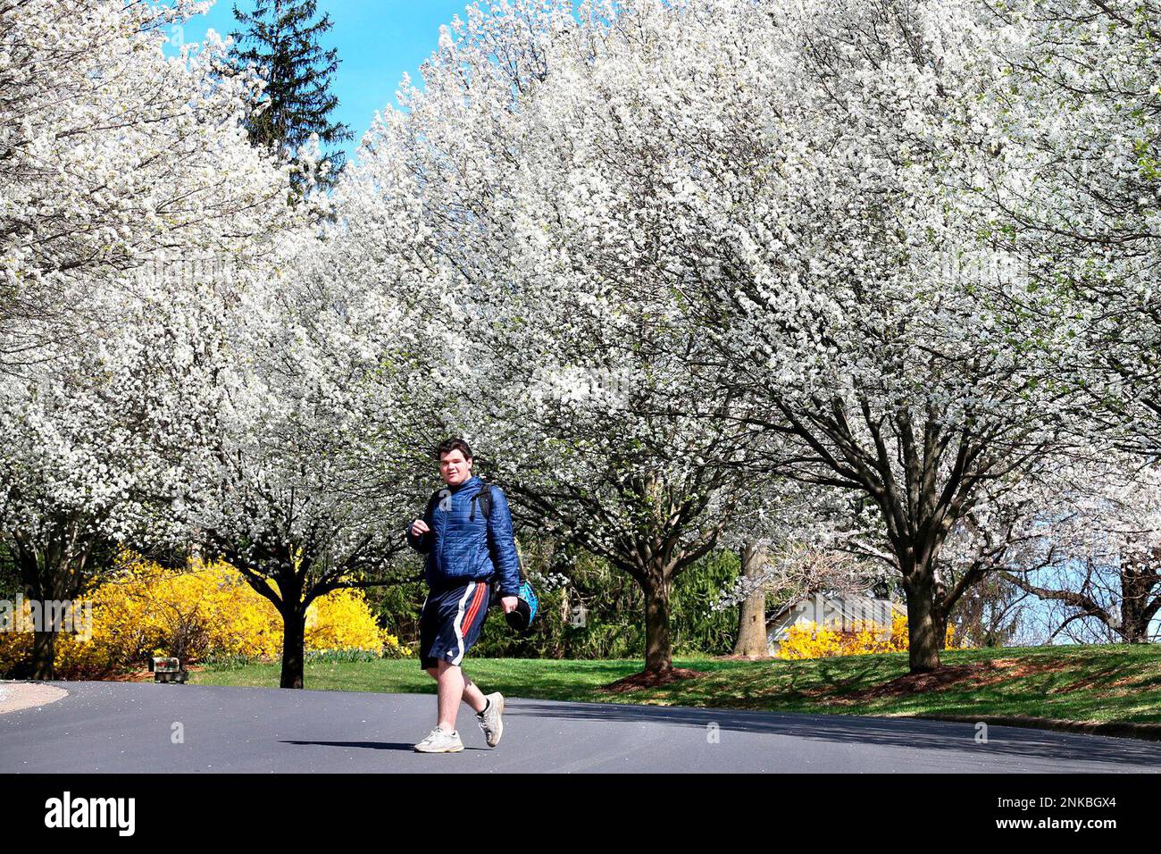 FILE - Daniel Patterson, a sophomore at John Handley High School, walks ...