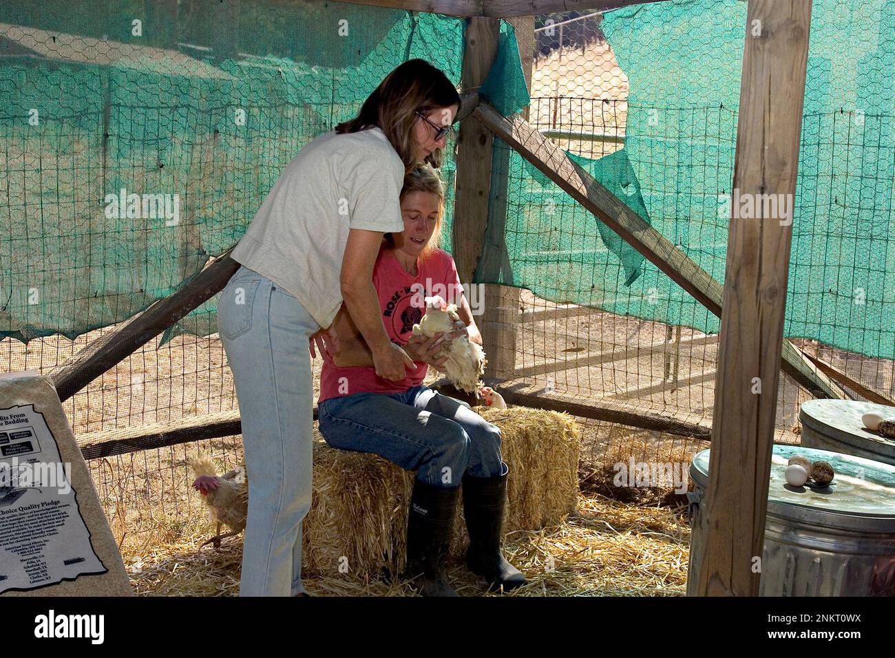 HENS 033 OHARA.CR2 Anima Place Sanctuary, Vacaville,CA Stephanie Marohn ...