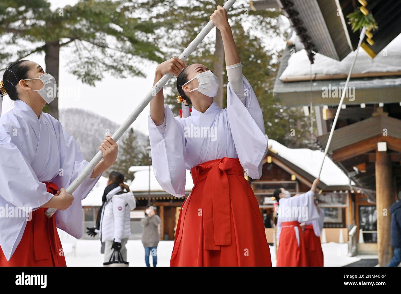 Miko san, Shrine maiden, wearing face masks perform a susuharai by ...