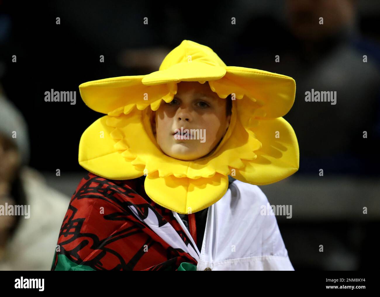 Un jeune fan du pays de Galles avant le match de championnat des six ...