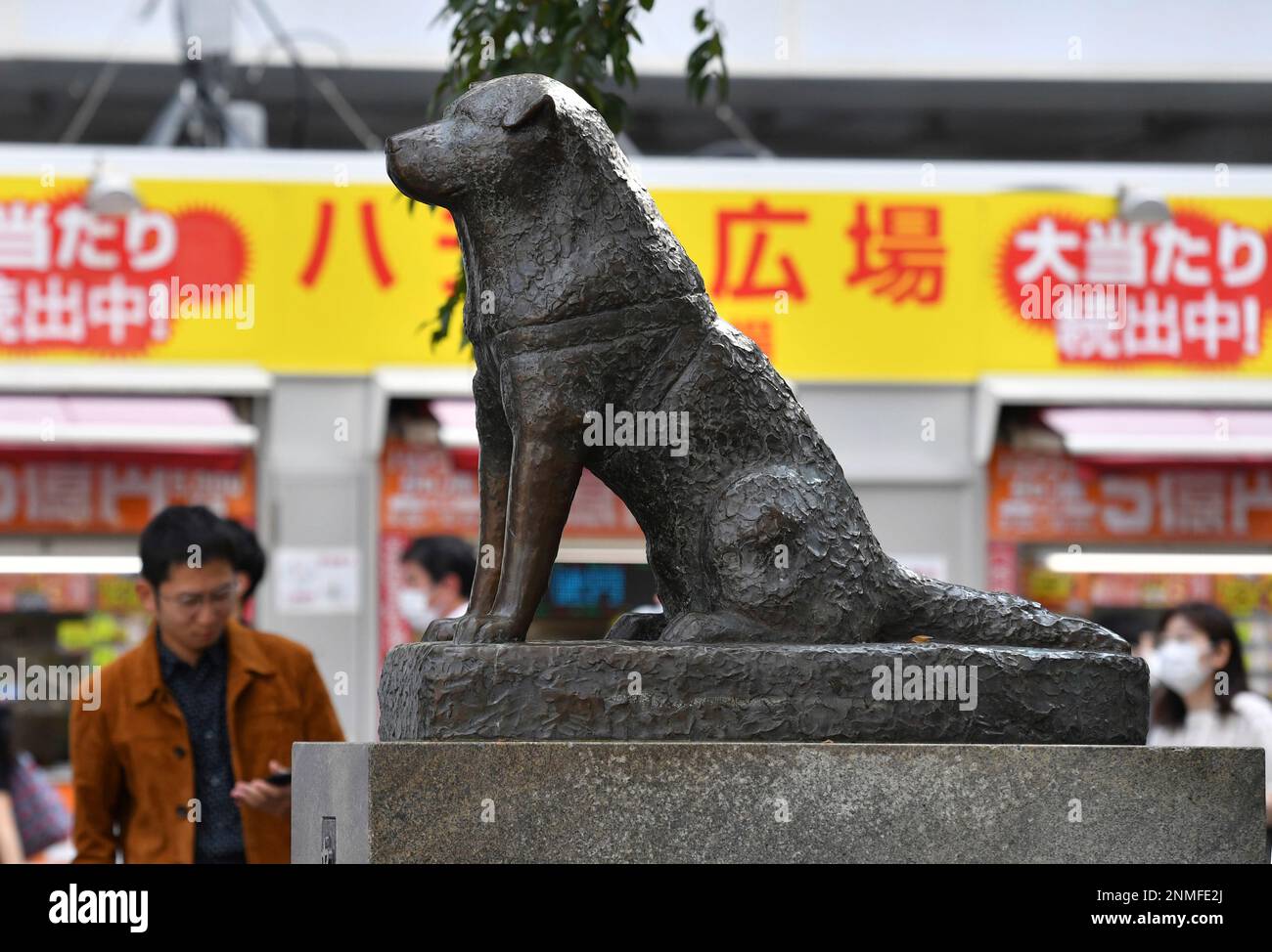 A picture shows a statue of Chuken Hachiko (Hachi the loyal dog) near ...
