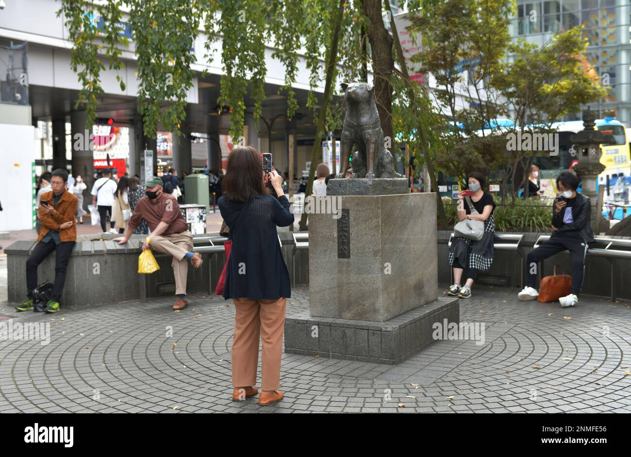 A picture shows a statue of Chuken Hachiko (Hachi the loyal dog) near ...