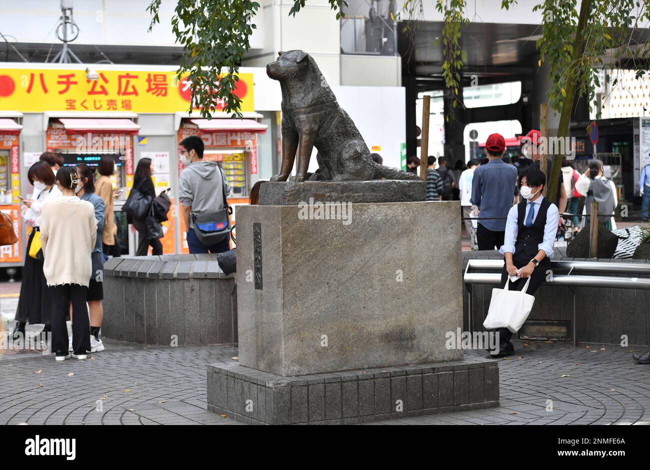 A picture shows a statue of Chuken Hachiko (Hachi the loyal dog) near ...