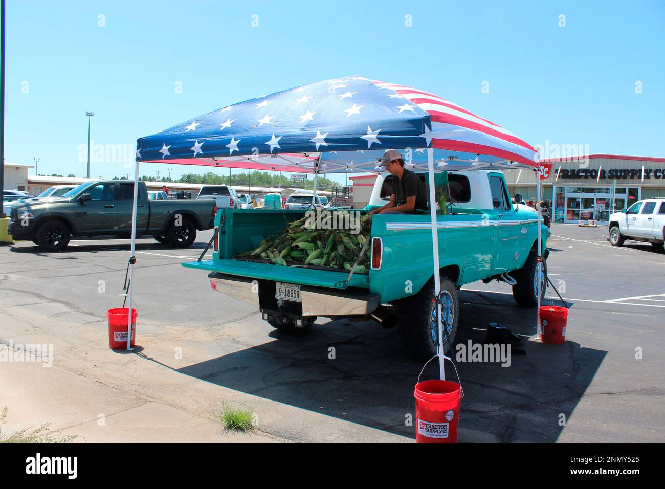 Brynen Stauffer, 17, sells sweet corn in the back of his 1966 Ford 7.3 ...