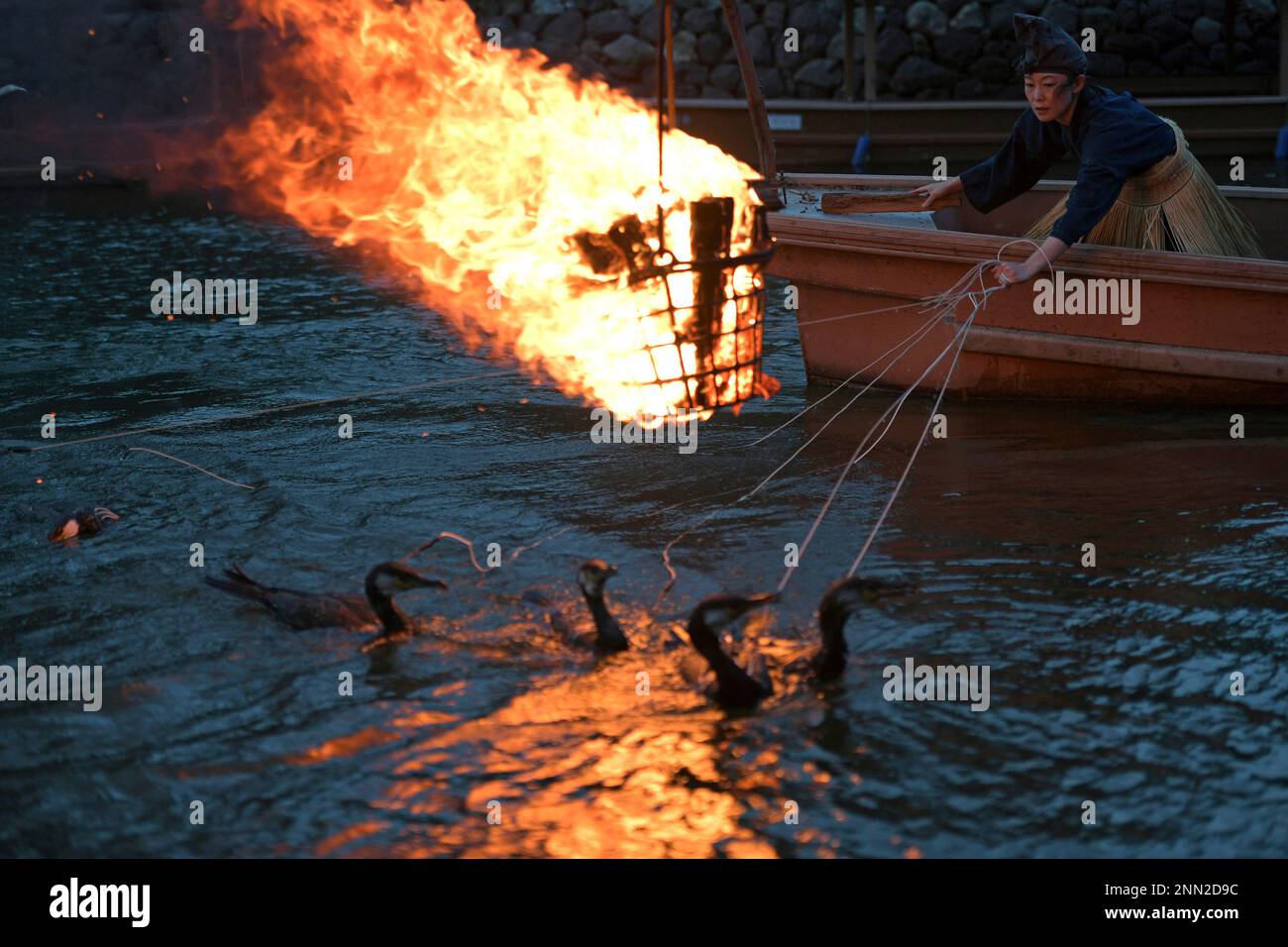 Uji Gawa Ukai, cormorant fishing on the Uji River is held in Uji City ...