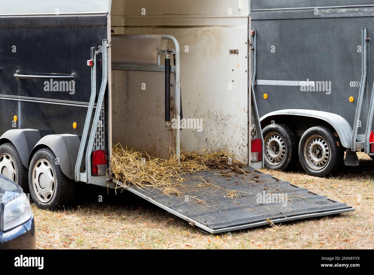 Transport de remorque à caisse de cheval avec hayon ouvert avec foin et ...