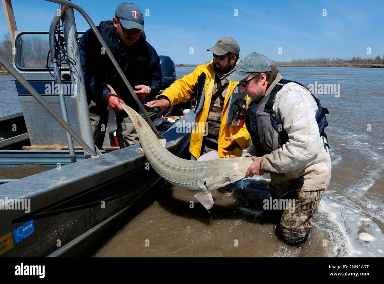 FILE - In this 2014 file photo, from left, Montana Fish, Wildlife and ...