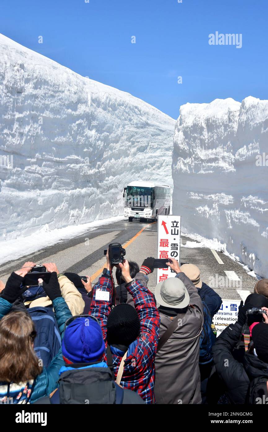 Sightseers visit the Yukino Otani (great snow valley) to marvel at its ...