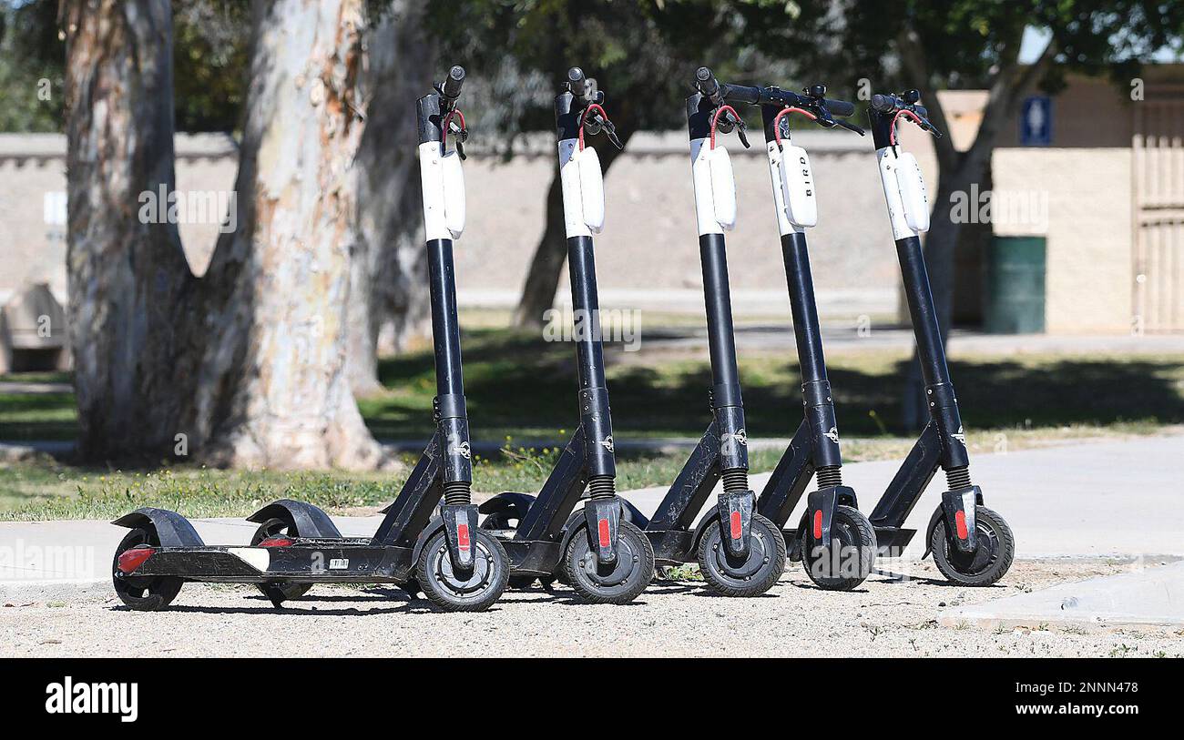 Five Bird electric scooters are seen parked at Joe Henry Park in Yuma ...