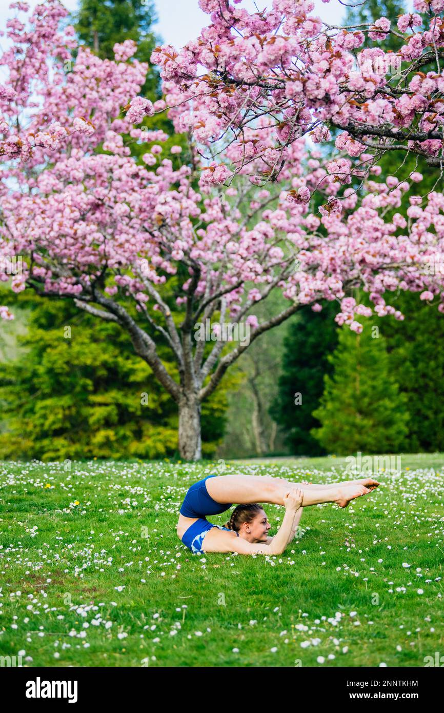 Femme contorsionniste Banque de photographies et d’images à haute ...