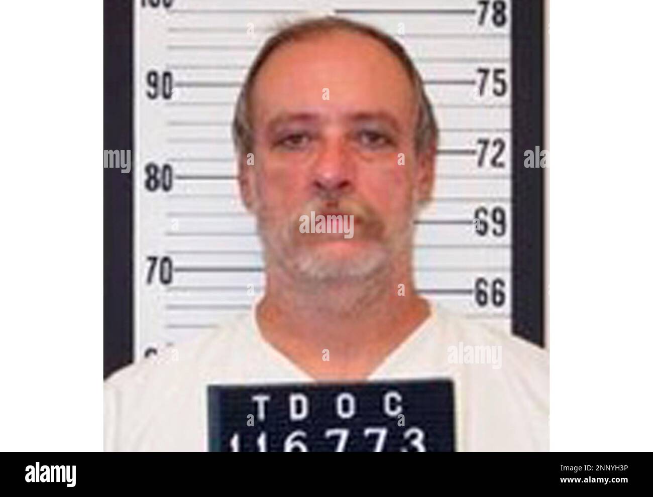 FILE - This undated file photo provided by the Tennessee Department of ...