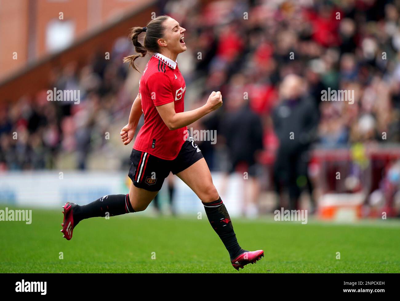 Vilde boe risa Banque de photographies et d’images à haute résolution ...