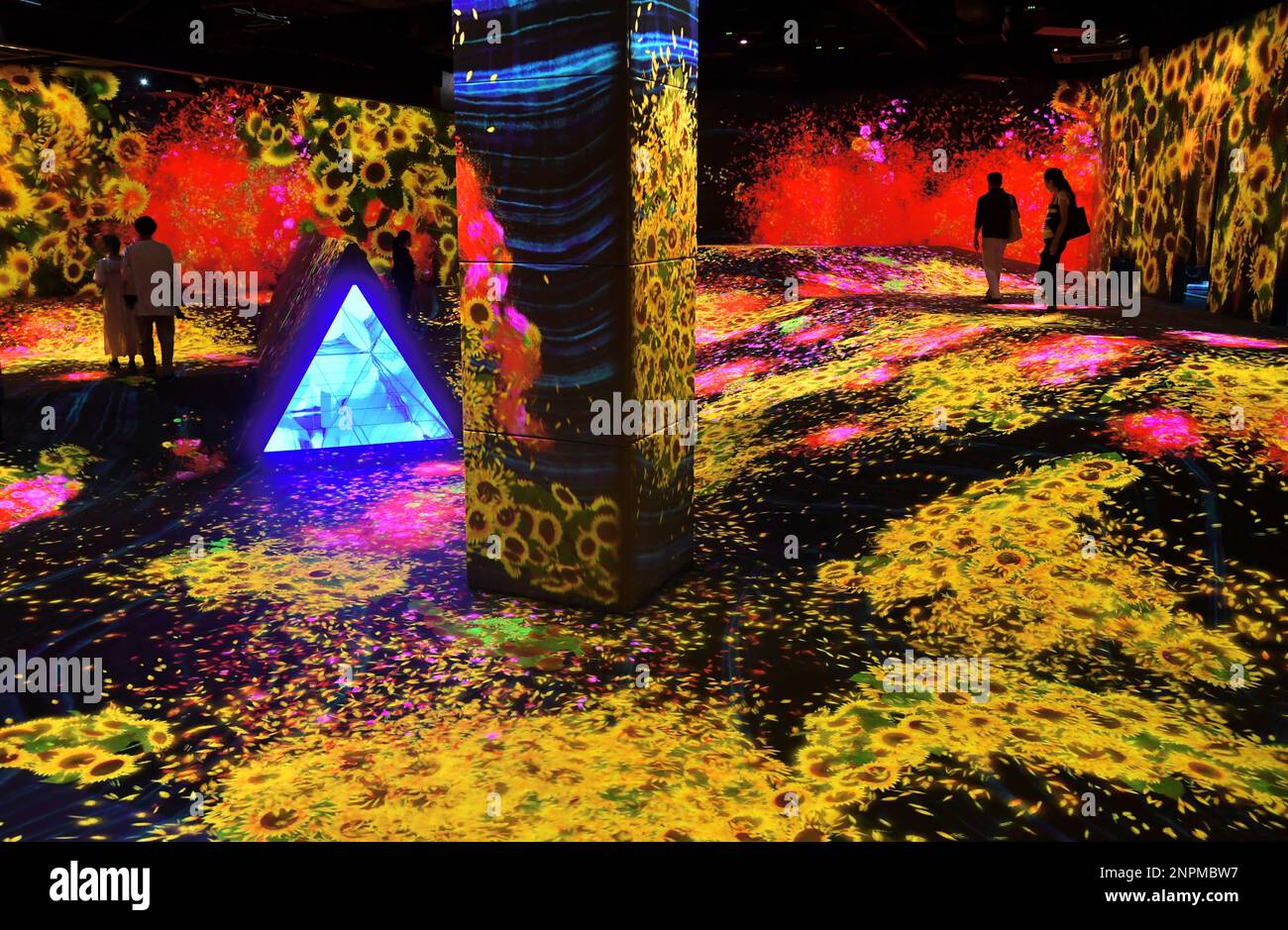 A photo shows the digital museum "teamLab Forest" of the art group ...