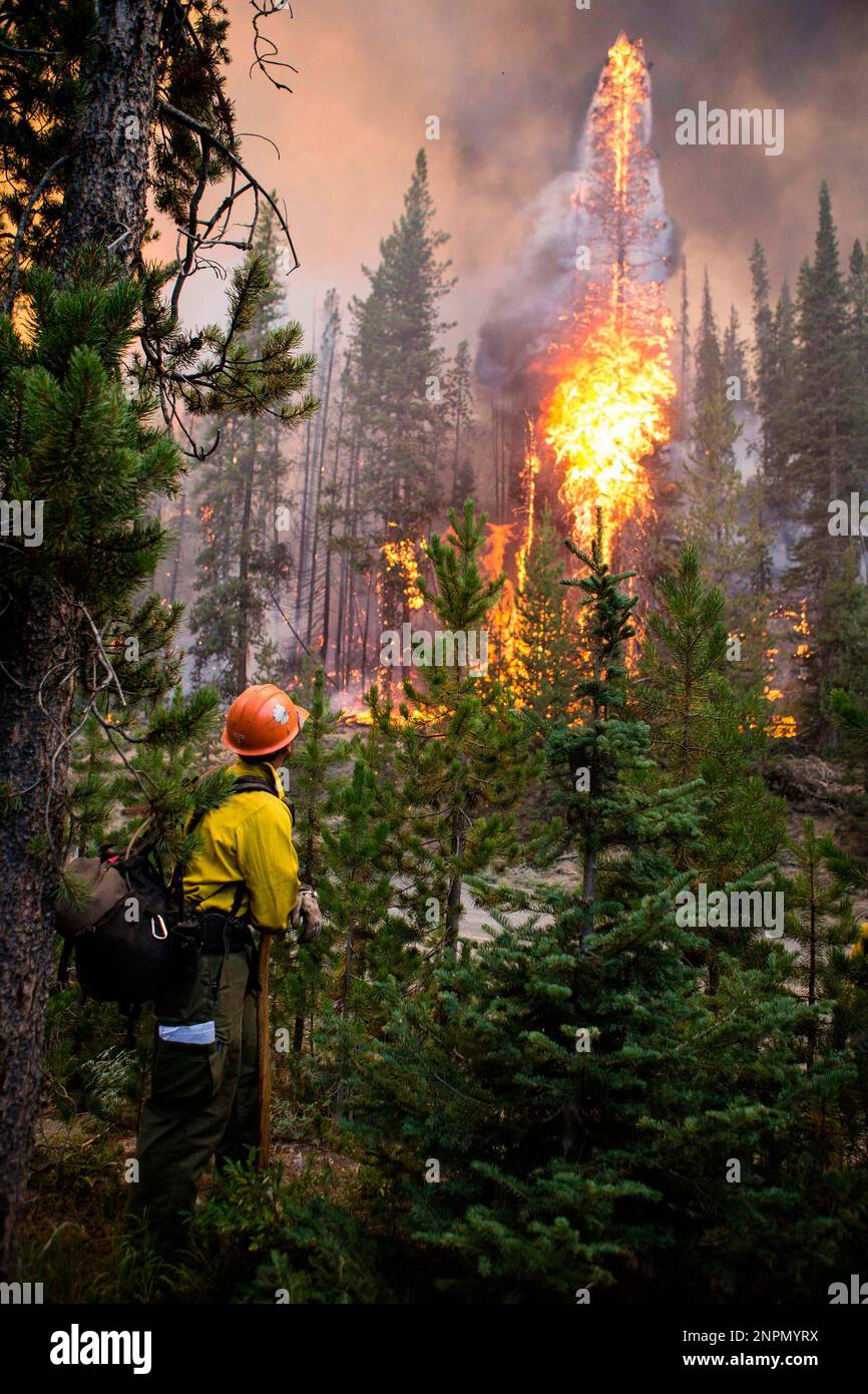 FILE - In this Aug. 7, 2019 file photo released by U.S. Forest Service ...