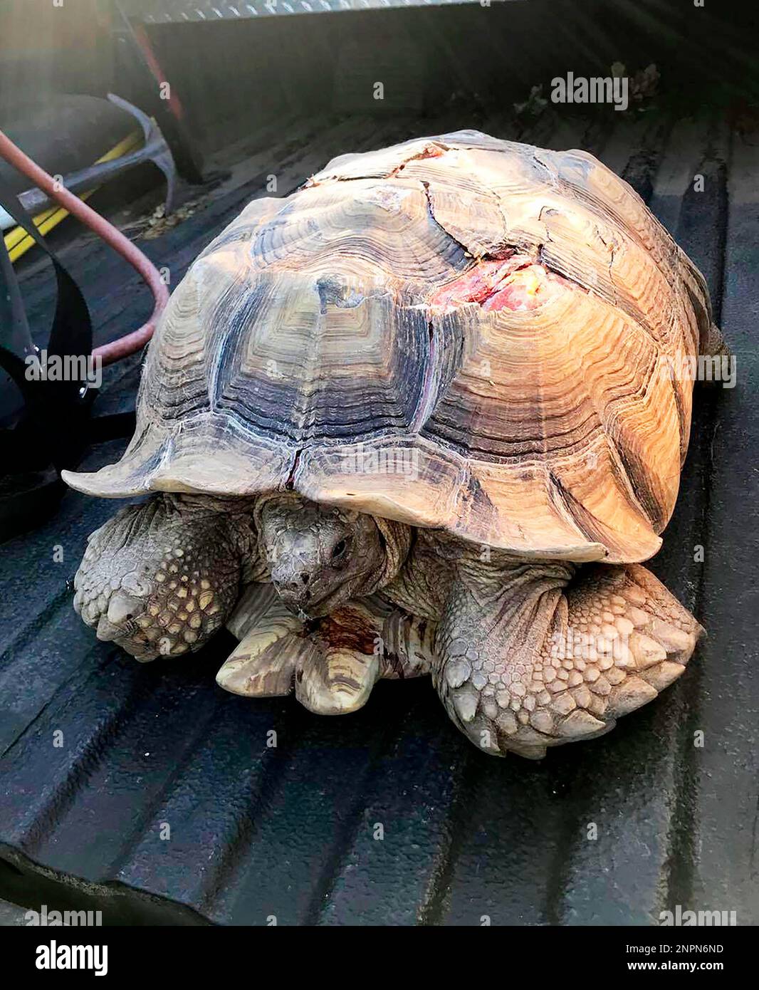 This photo provided by the Cal Fire Tuolumne-Calaveras Unit show a ...