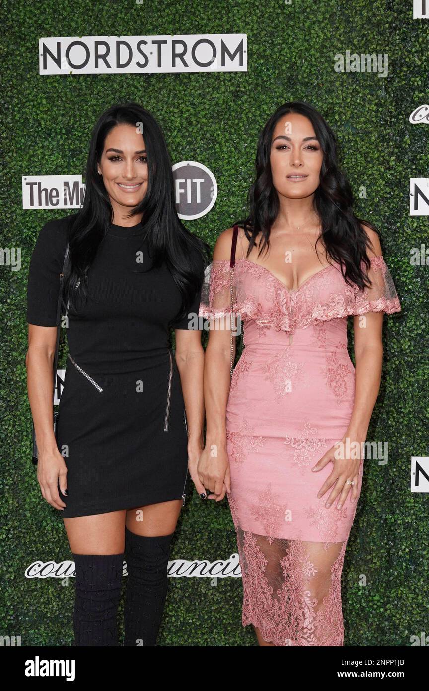 August 2nd 2020 - Brie Bella and Nikki Bella have both given birth one ...