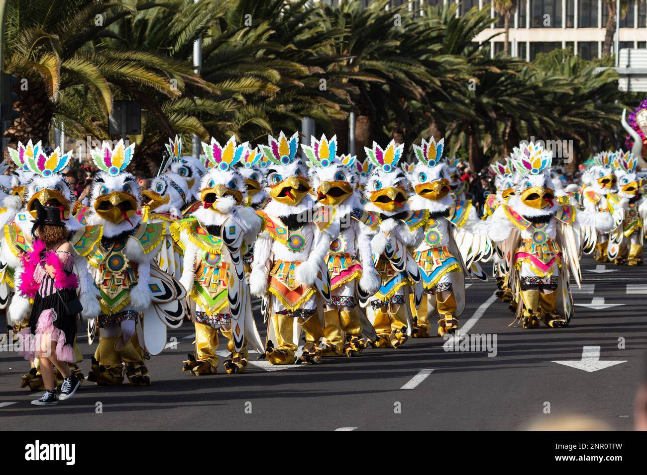 SANTA CRUZ DE TENERIFE, ESPAGNE - 21 FÉVRIER 2023 : défilé COSO - le ...