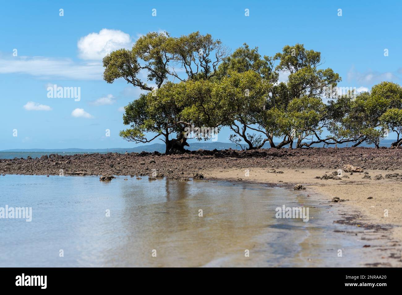 Plage de morwong Banque de photographies et d’images à haute résolution ...