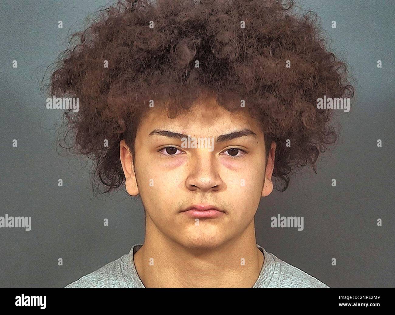 FILE - This undated file photo provided by the St. Joseph County Jail ...