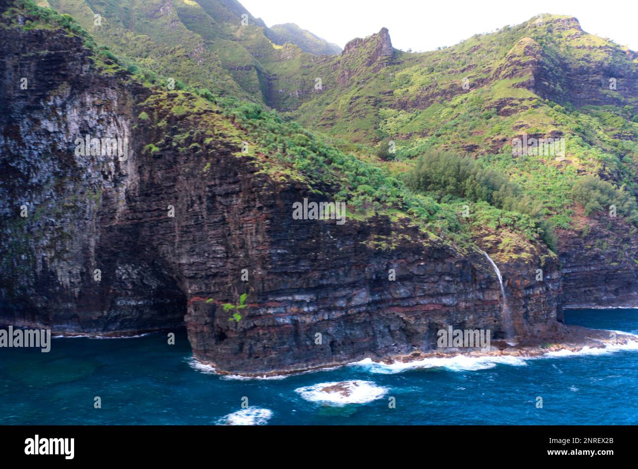 FILE - This undated photo provided by the Hawaii Department of Land and ...