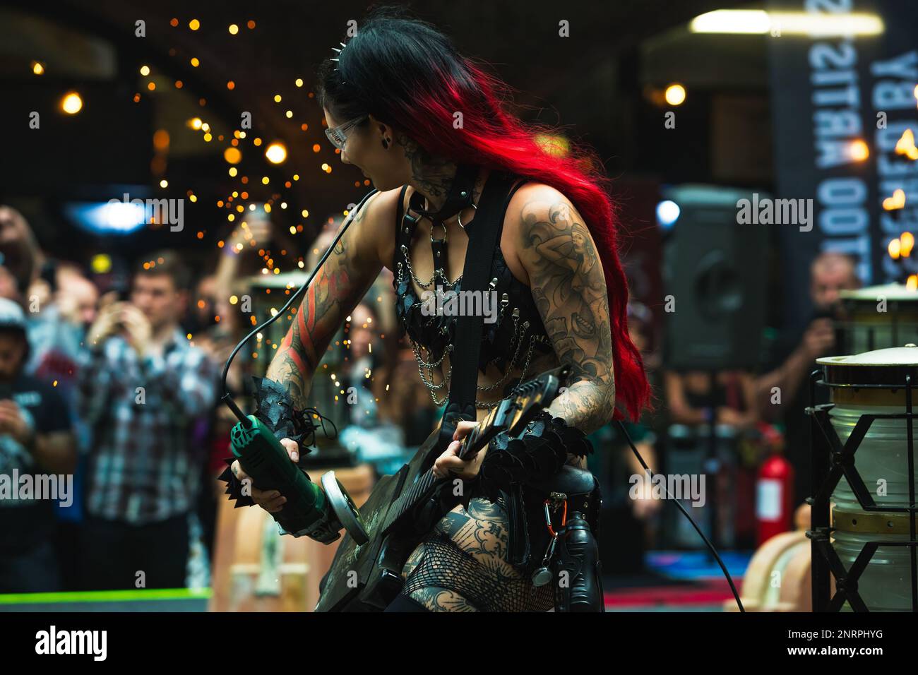 Renard ceverna Banque de photographies et d’images à haute résolution ...