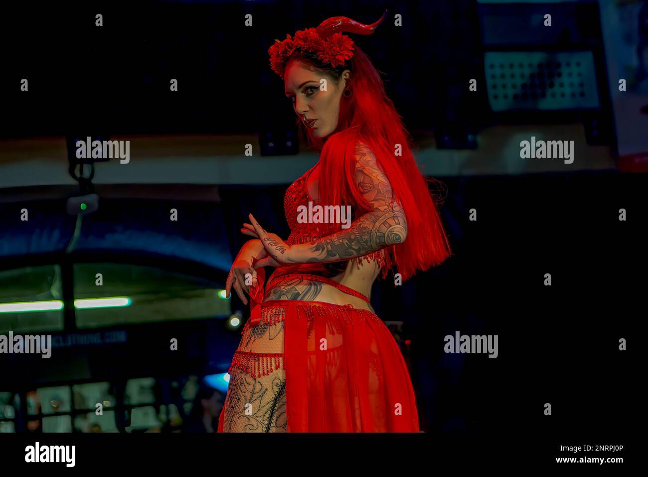 Renard ceverna Banque de photographies et d’images à haute résolution ...