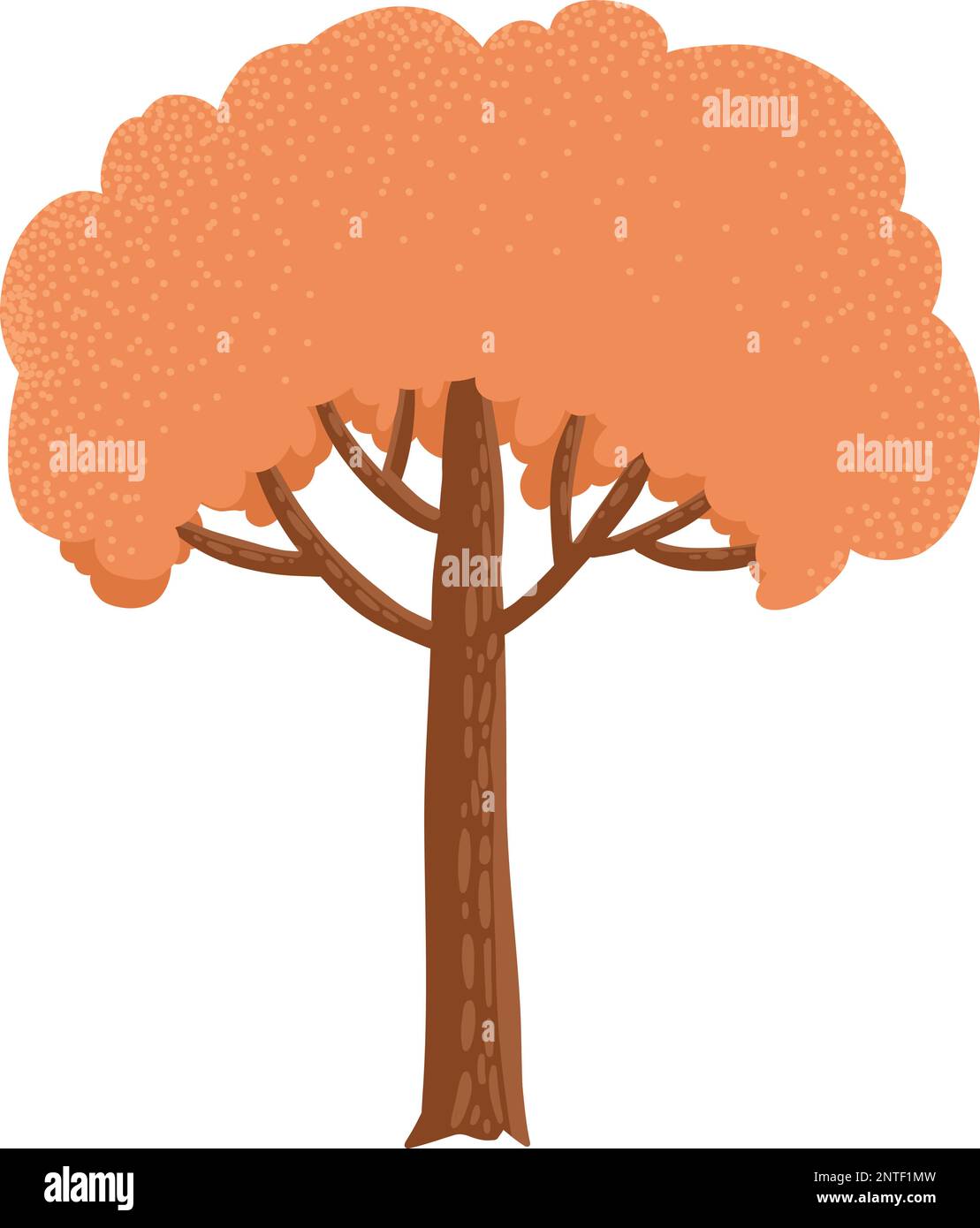 Plante forestière décidue et à feuilles persistantes isolée sur fond ...