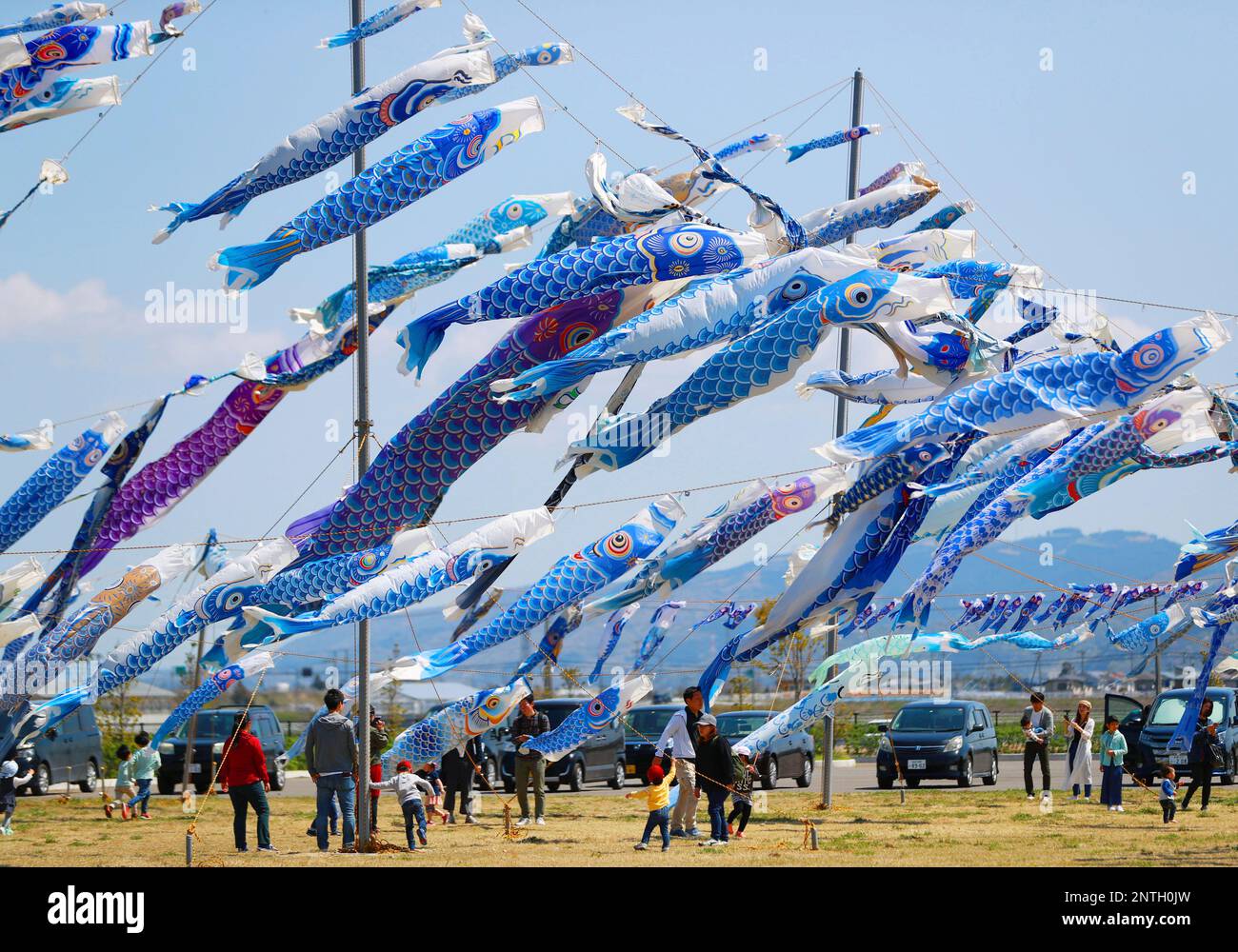 Blue carp streamers are raised with the memorial services of children ...